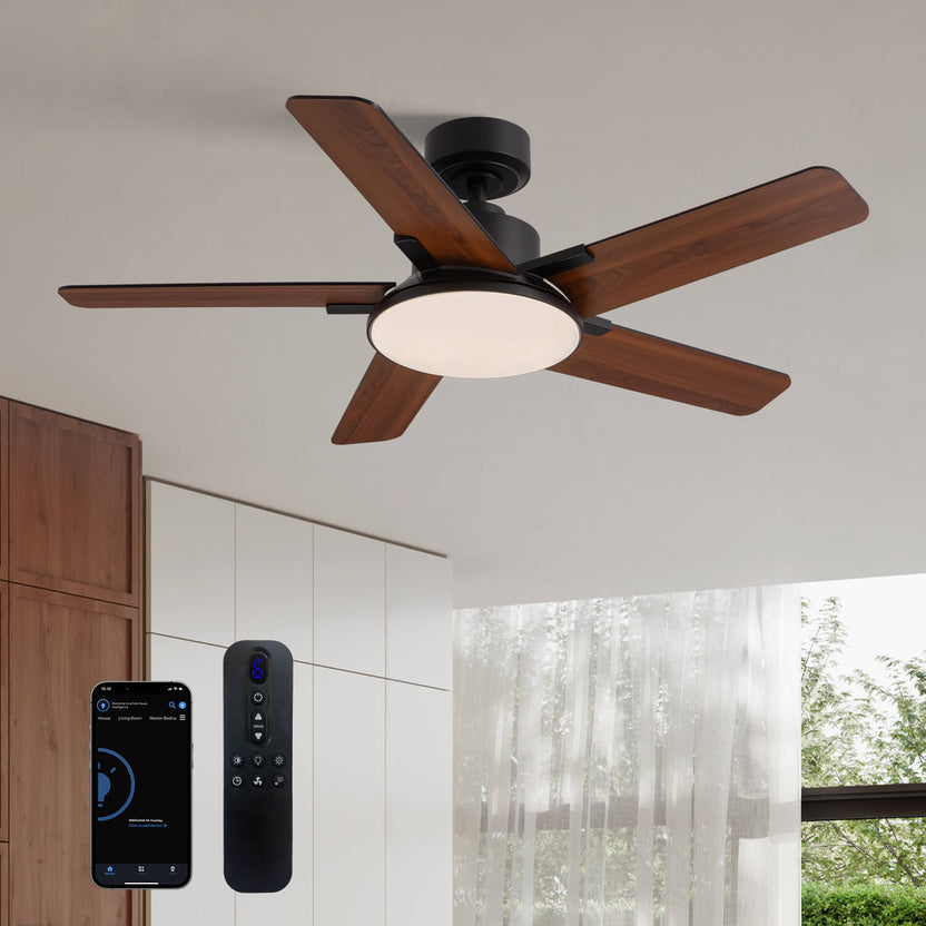 Ceiling Fan with lights | Sofary Lighting